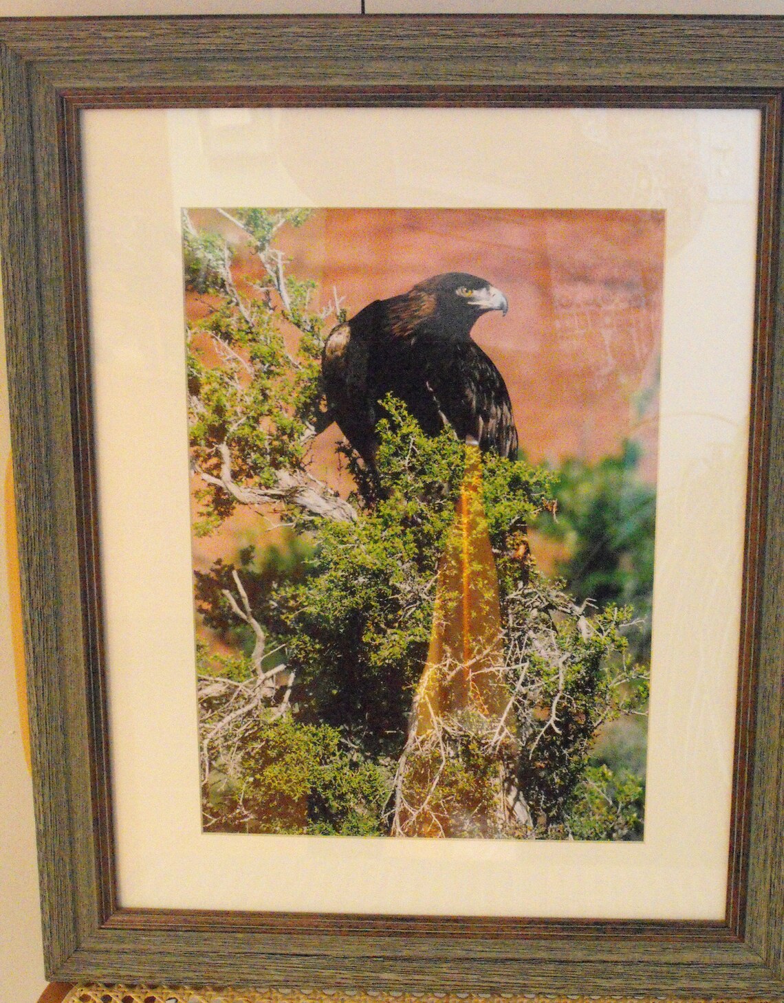 Janet Collins Artist, Eagle in the Wild, Framed, Signed & Numbered ...