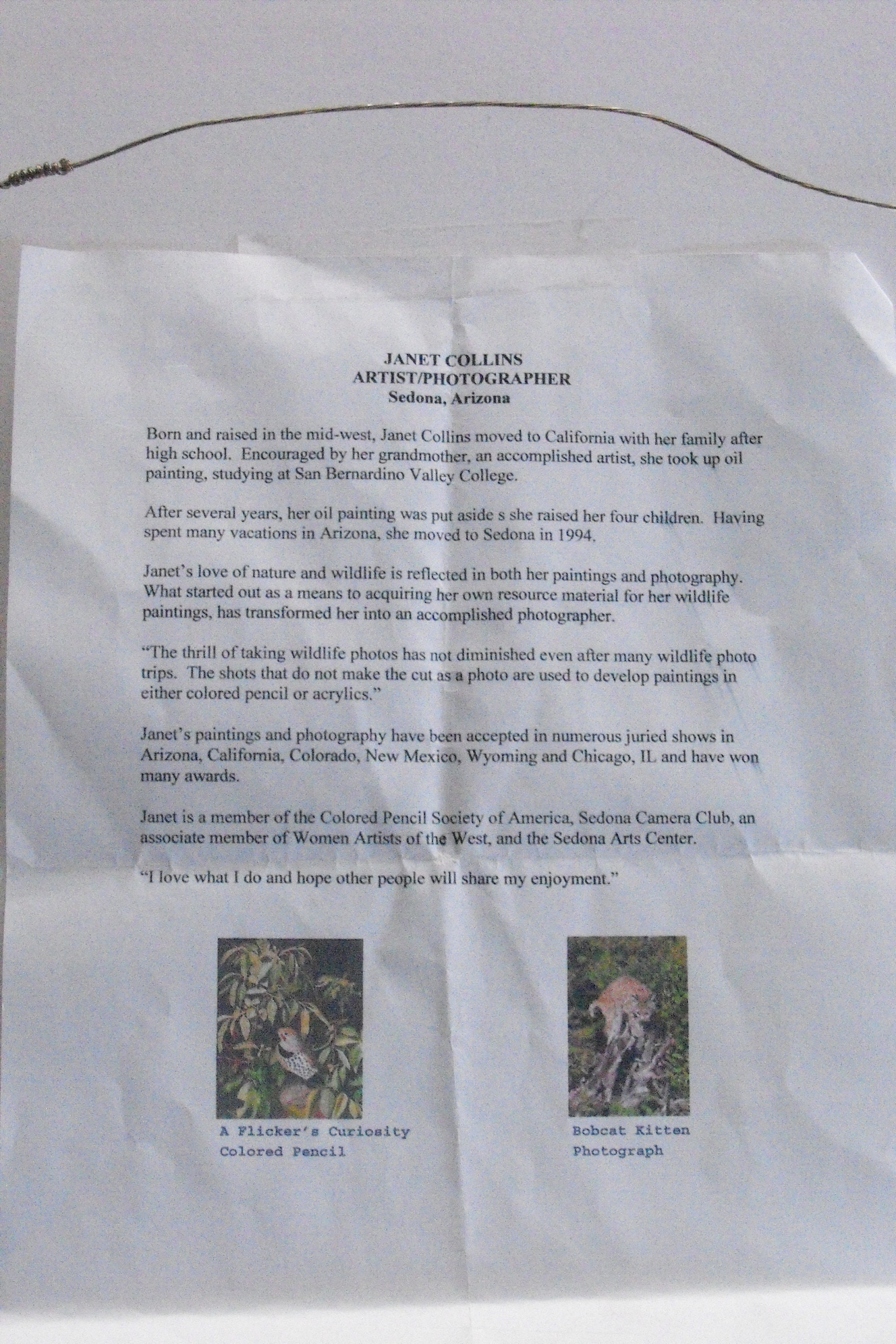 Janet Collins Artist, Eagle in the Wild, Framed, Signed & Numbered ...