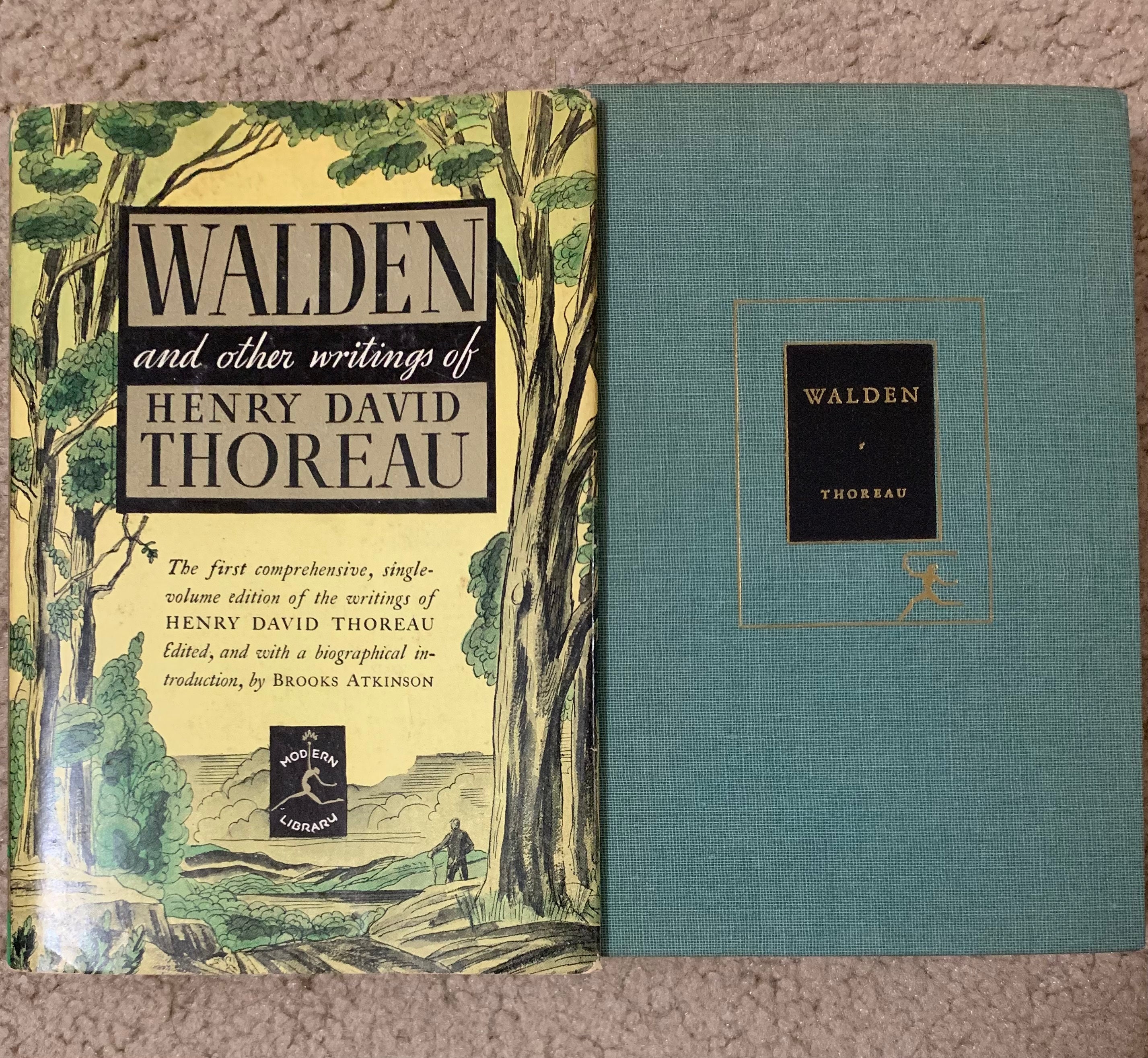 Henry David Thoreau Books