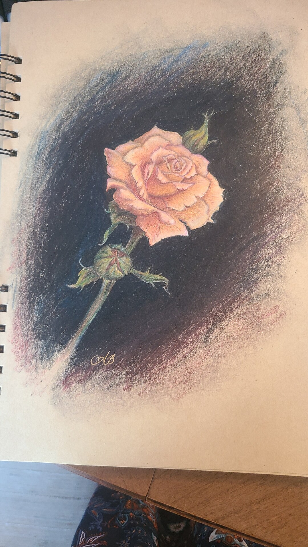 Hand Drawn Colored Pencil Peach Rose With Little Buds - Etsy