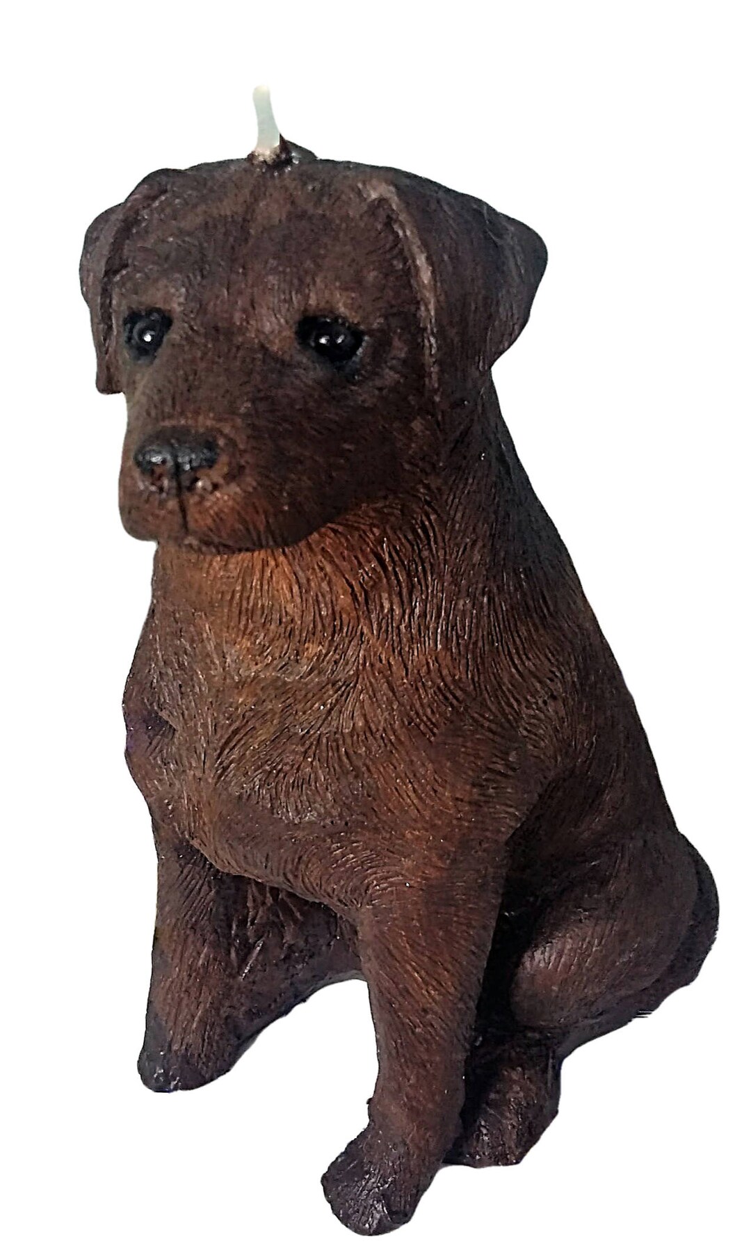 Handmade Labrador Candles, Eco Vegan Friendly. Comes Fully House ...