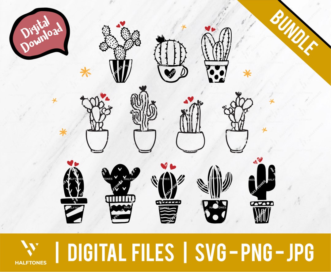 Cactus Craze Svg Cactus Lover Svg Cactus Crazy Svg Cactus - Etsy