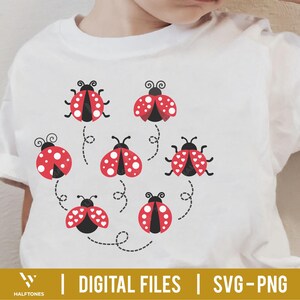 Ladybug Svg Bundle, Lady Bug Svg, Ladybug Files for Cricut, Cite ...