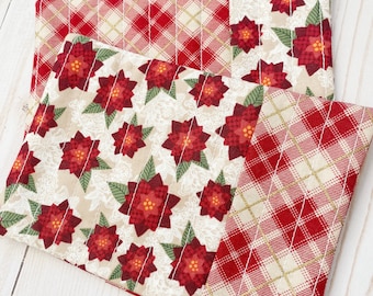 Holiday Mug Rug Sets Christmas Quilted Mug Rugs Set of 2 Mug Rugs ...