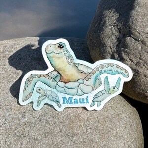 Sea Turtles Sticker | Maui Matte Vinyl Sticker | 3 Sea Turtle ...