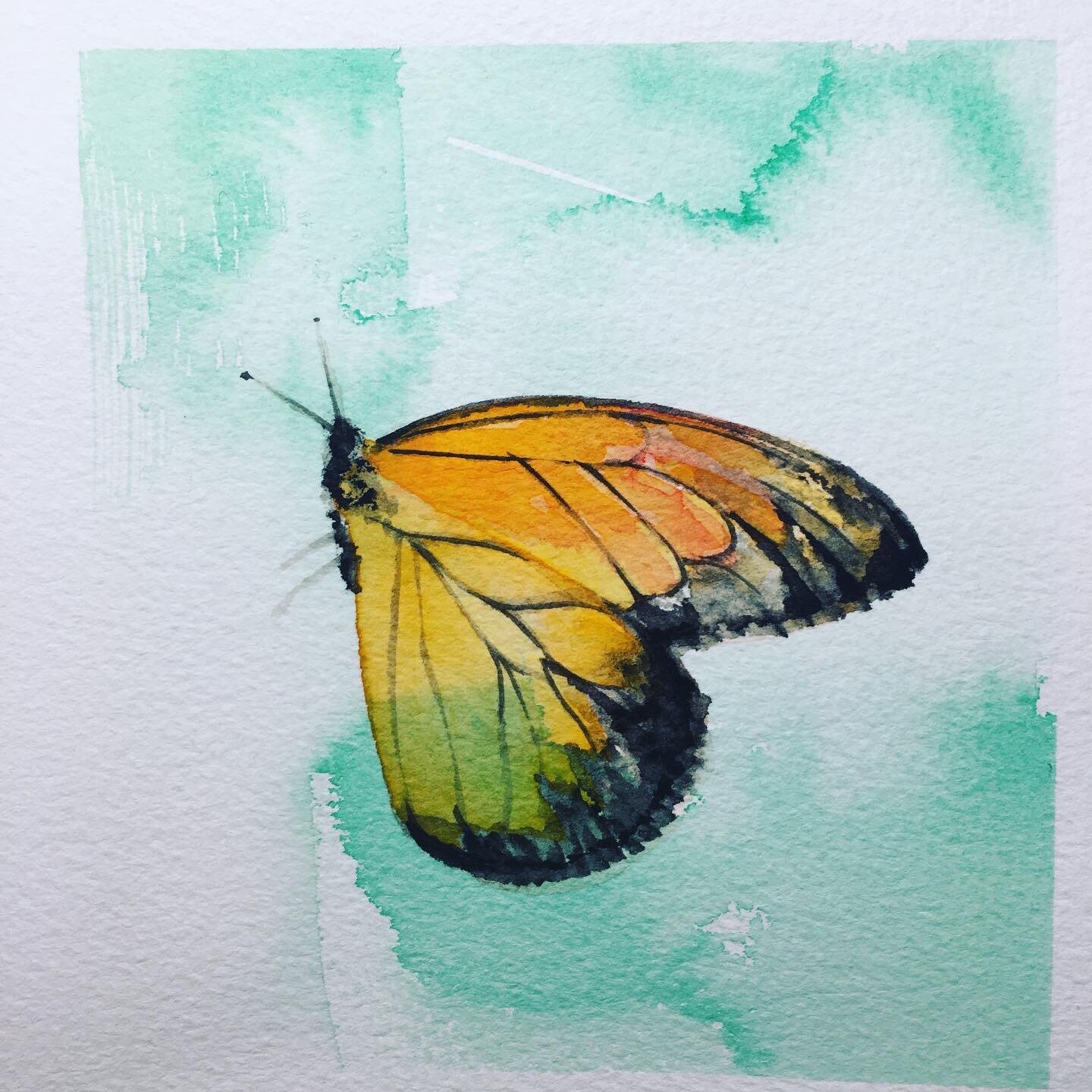 Aquarell aus der Serie Was für die Raupe ist das Ende | Etsy