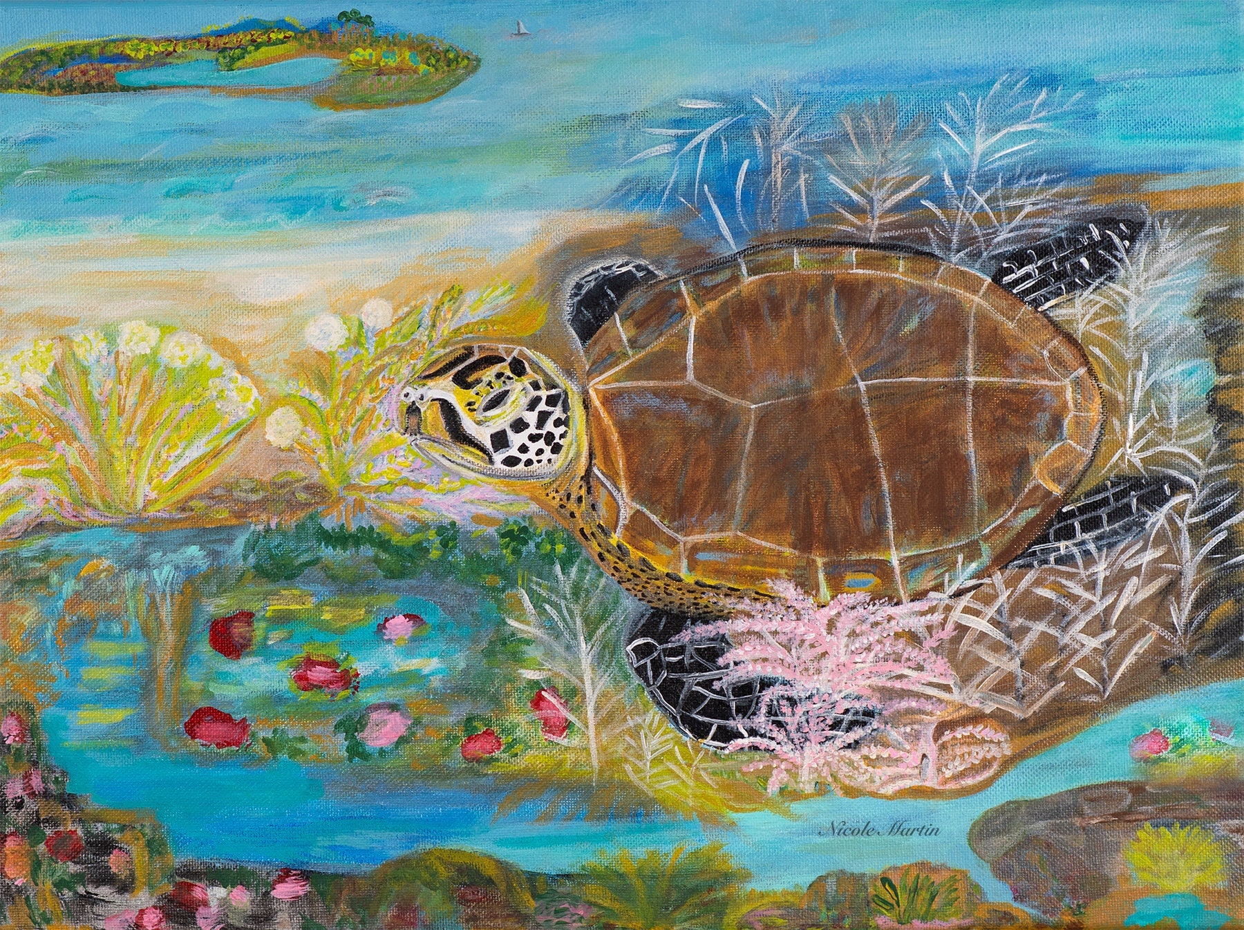 Mother Sea Turtles Eggs