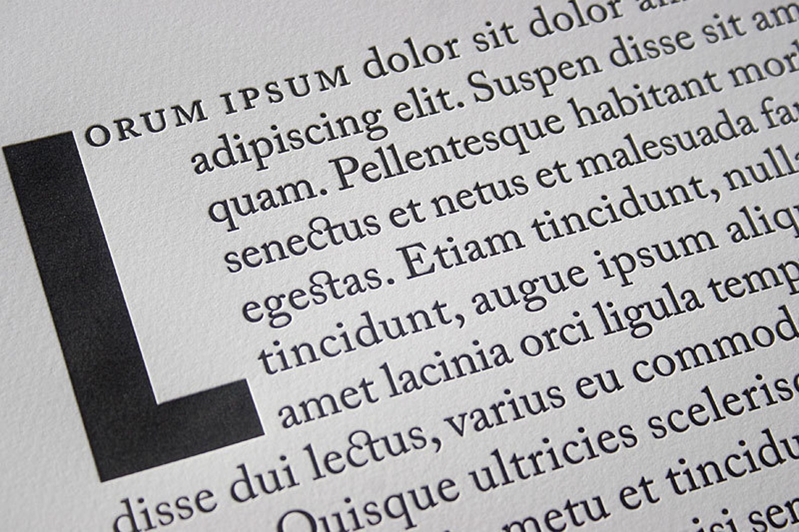 Lorem Ipsum Dolor Letterpress Typography Print - Etsy UK