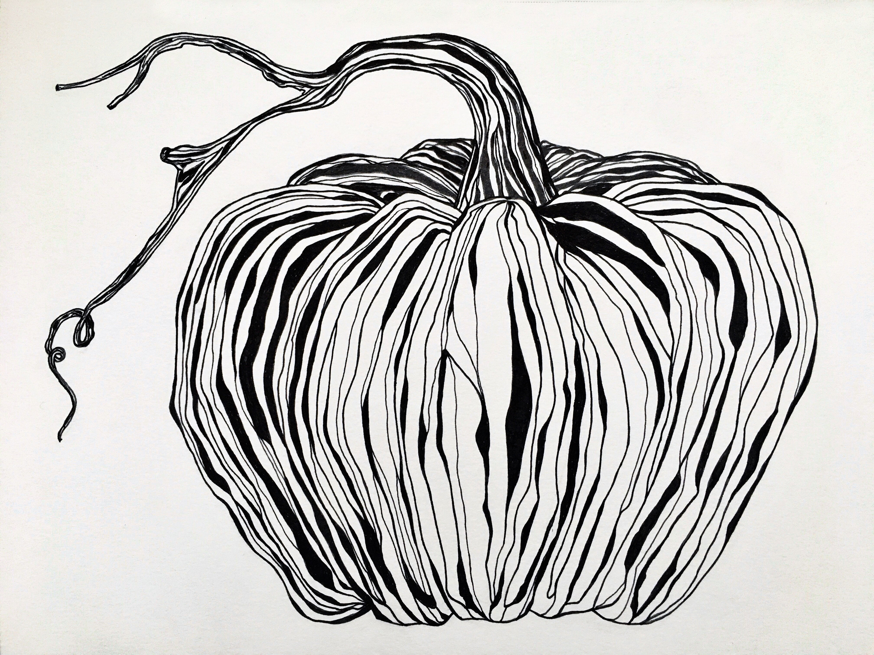 Ink Pumpkin Drawing - Etsy
