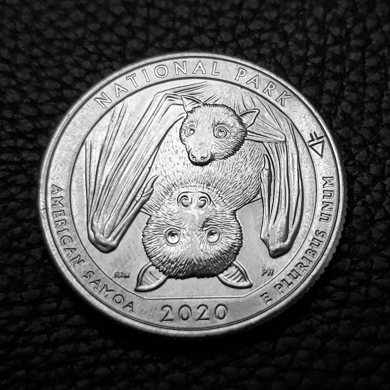 2020 Social Distancing Quarter With Mask and Bats on Reverse Side. - Etsy