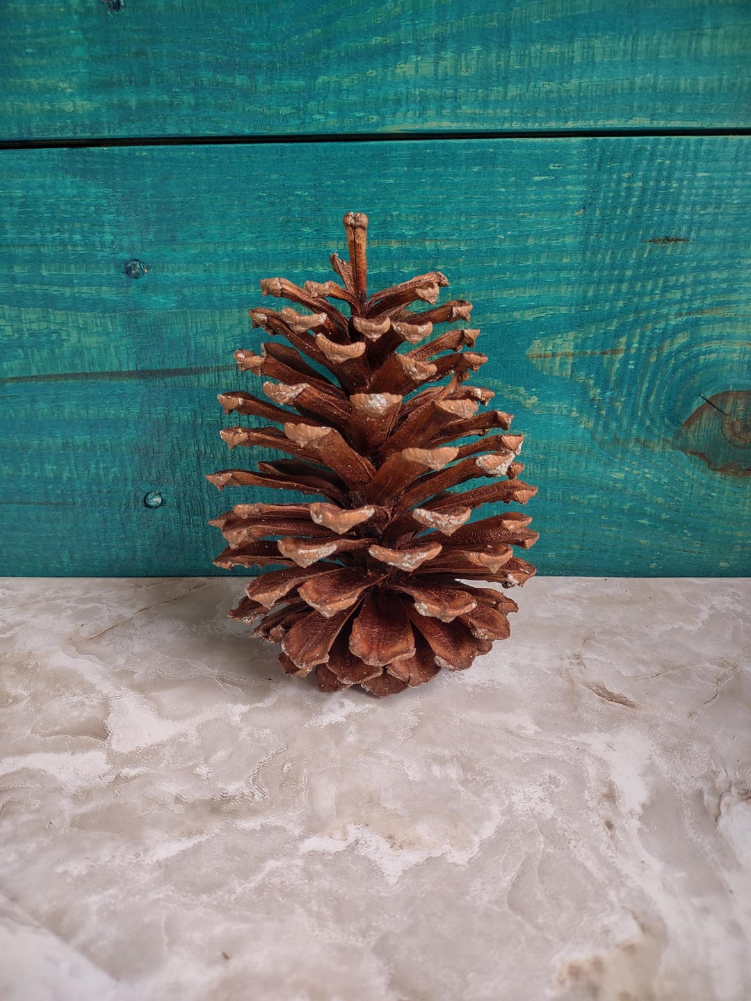 Large Natural Pine Cone for Decorating, Crafts, Etc. - Etsy