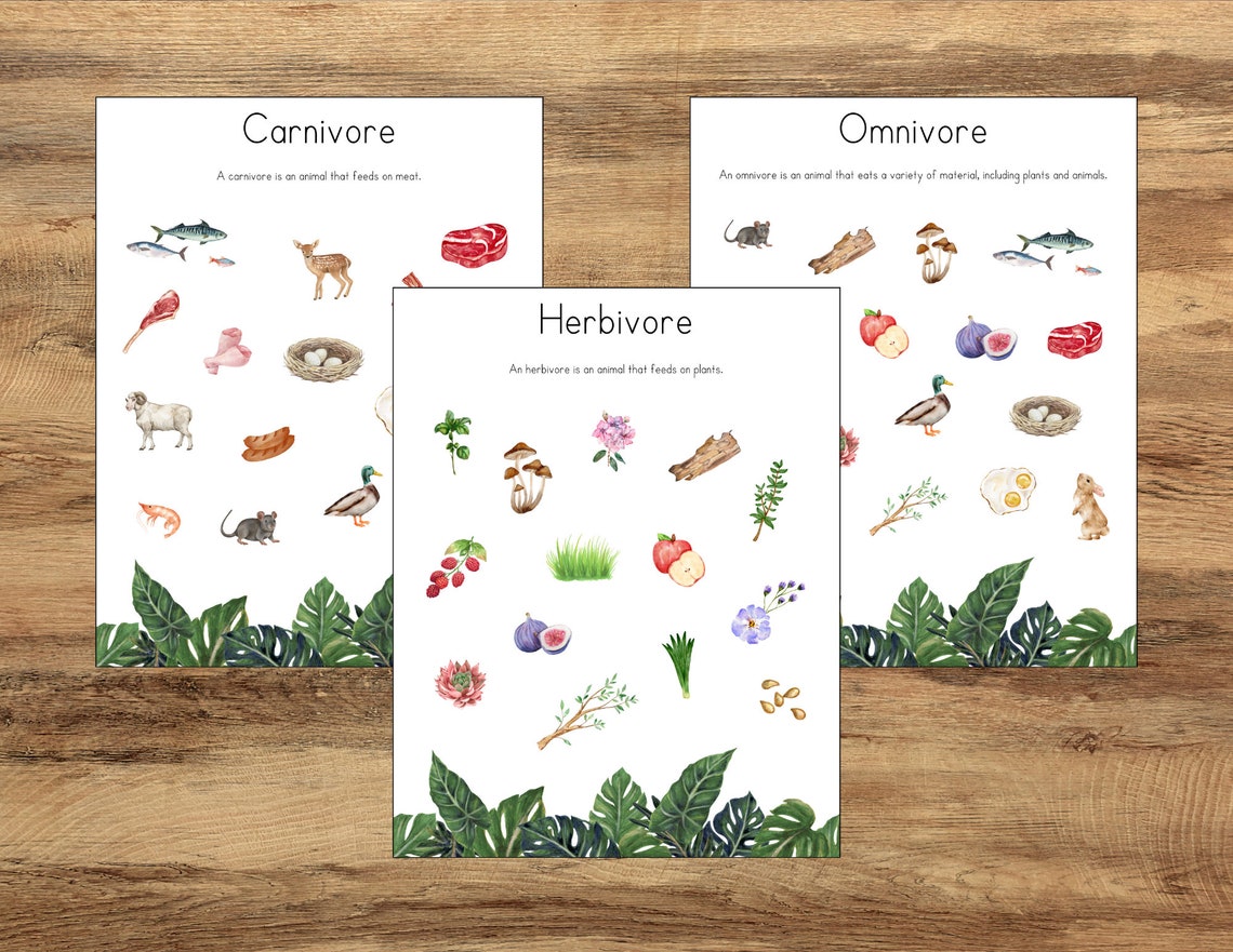 Dinosaur Diets Activity, Dinosaur Crafts and Activities, Kids ...