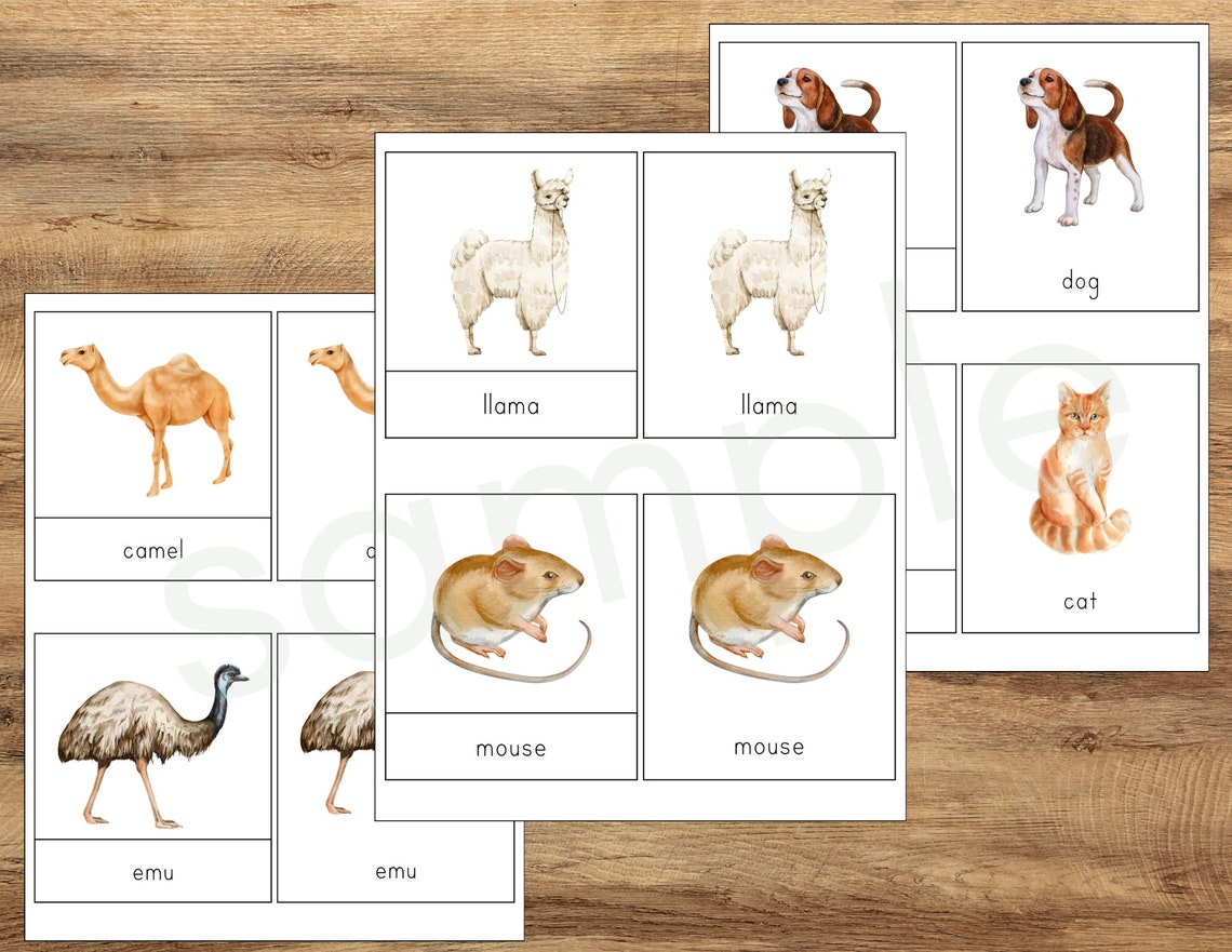 Farm Animal 3-part Cards, Prek Kindergarten Learning, Learning Resource ...