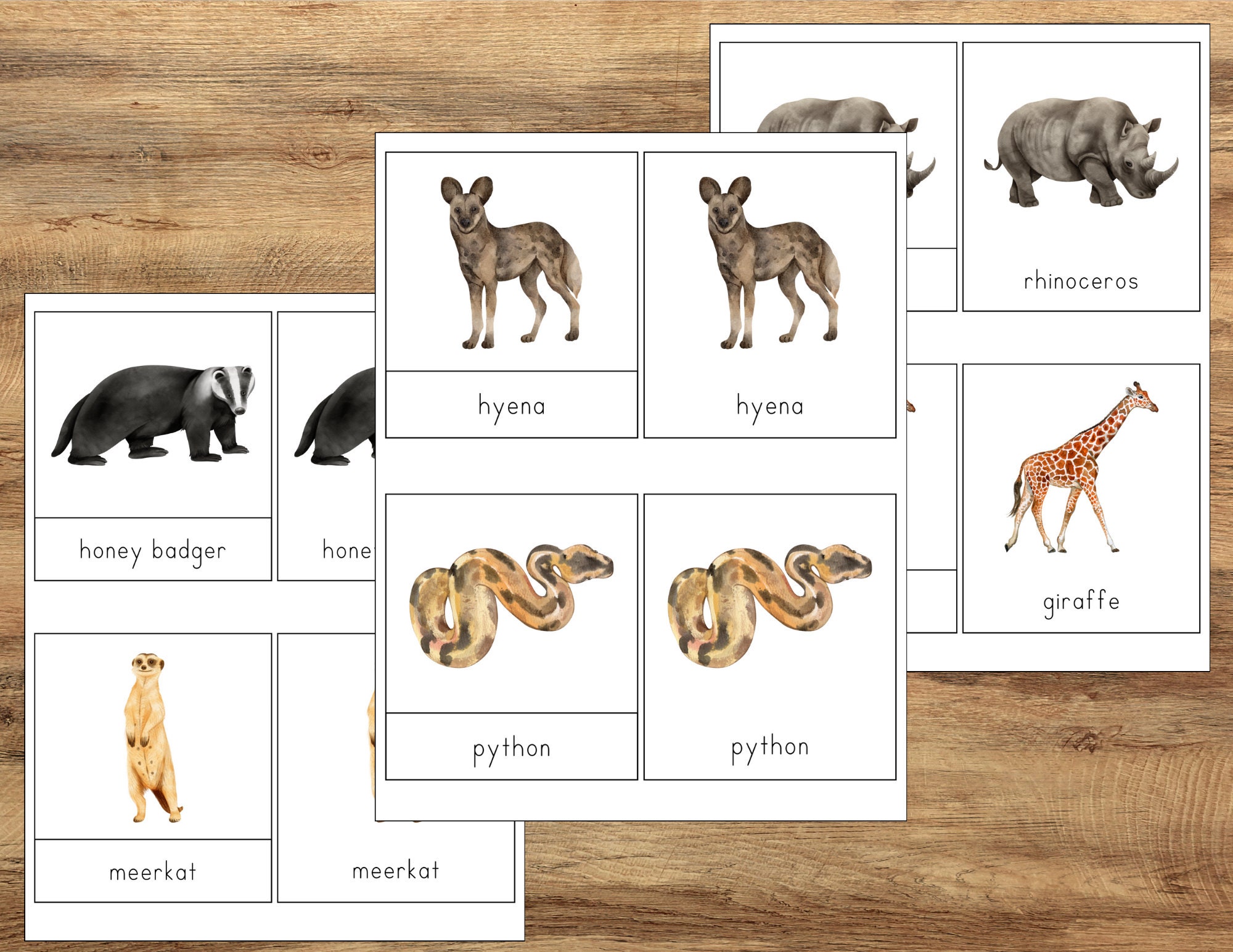 Savanna Wildlife 3-part Cards, Prek Kindergarten Learning, Learning ...