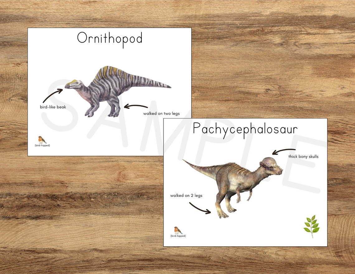 Dinosaur Classification Activity, Dinosaur Crafts and Activities, Kids ...