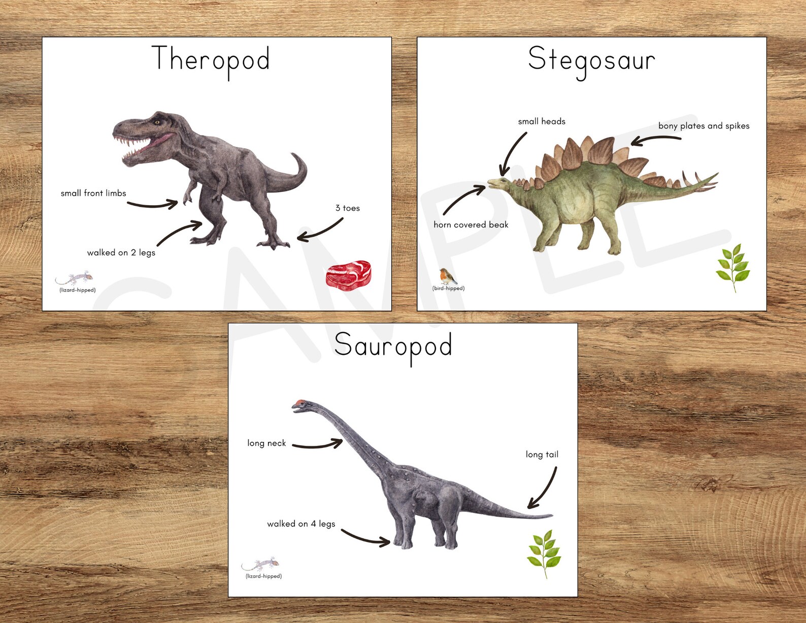 Dinosaur Classification Activity, Dinosaur Crafts and Activities, Kids ...