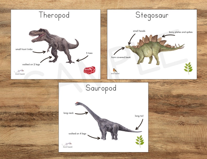 Dinosaur Classification Activity, Dinosaur Crafts and Activities, Kids ...