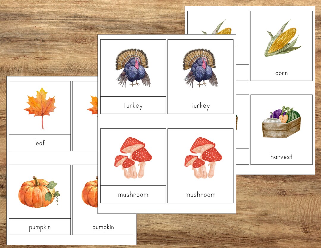 Autumn 3-part Cards, Fall 3-part Cards, Preschool Kindergarten Learning ...