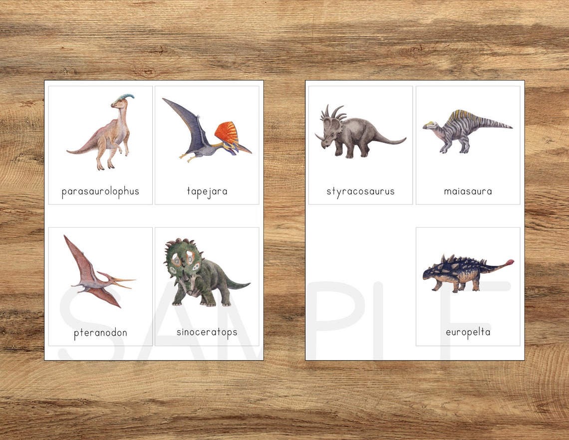Dinosaur Diets Activity, Dinosaur Crafts and Activities, Kids ...