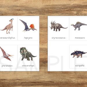 Dinosaur Diets Activity, Dinosaur Crafts and Activities, Kids ...