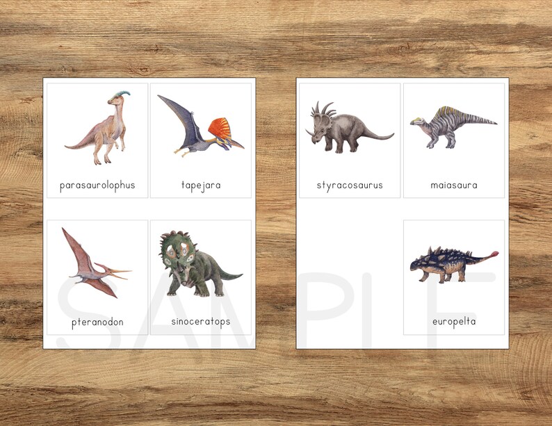 Dinosaur Diets Activity, Dinosaur Crafts and Activities, Kids ...