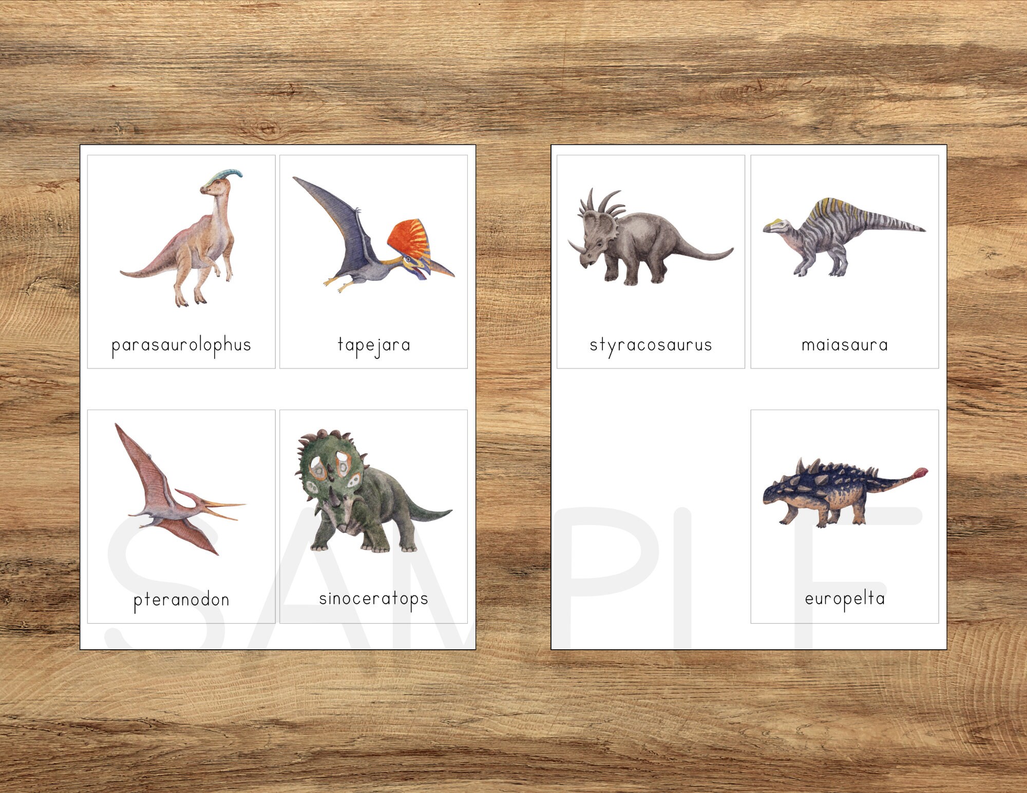 Dinosaur Diets Activity, Dinosaur Crafts and Activities, Kids ...
