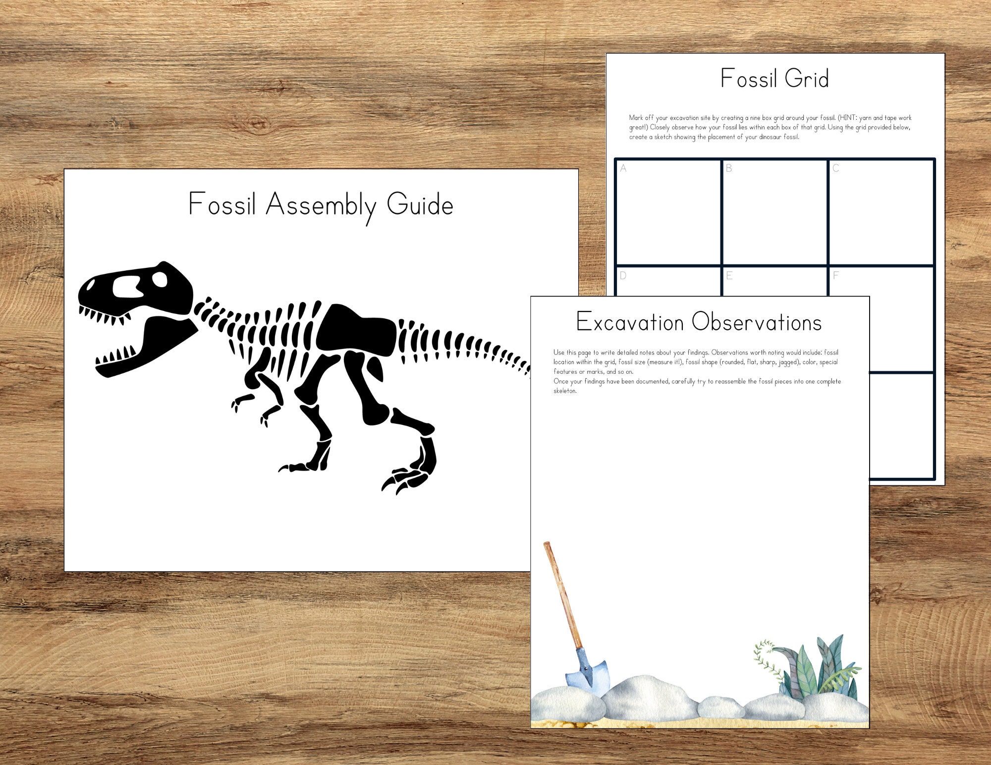 Dinosaur Excavation Activity, Dinosaur Crafts, Kids Paleontology ...