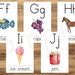 Alphabet Flashcards, Classroom Decor, Preschool Early Learning Resource ...