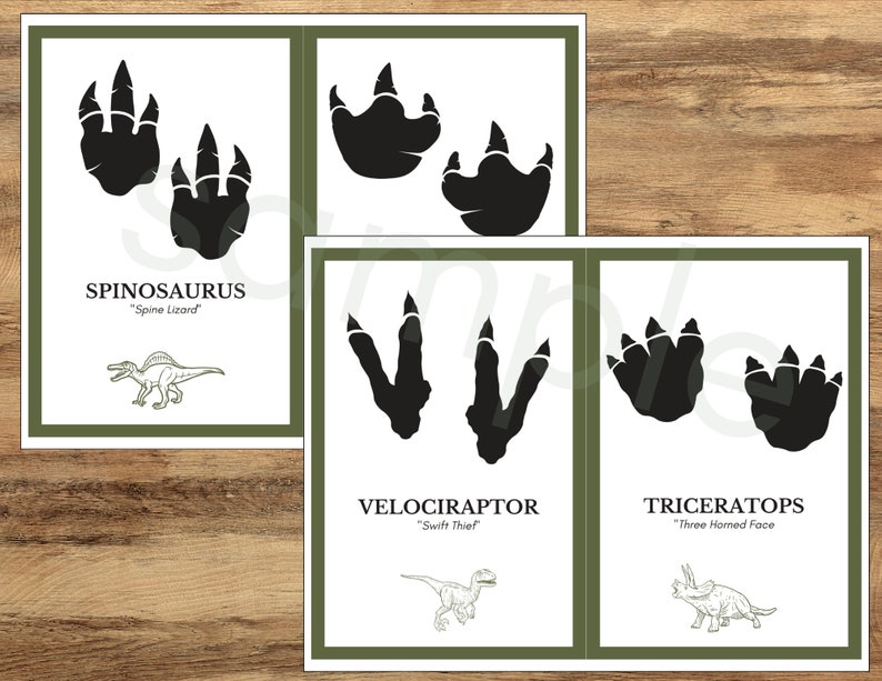 Dinosaur Footprint ID Cards, Dinosaur Activity, Kid Paleontology ...