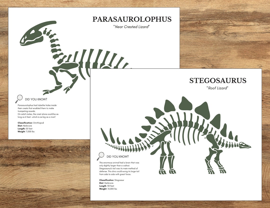 Dinosaur Fossil Building Activity, Dinosaur Crafts and Activities ...