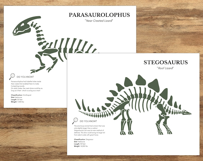 Dinosaur Bones Fossil Match Toddler / Child Activity // DIY Printable ...