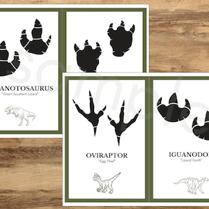 Dinosaur Footprint ID Cards, Dinosaur Activity, Kid Paleontology ...