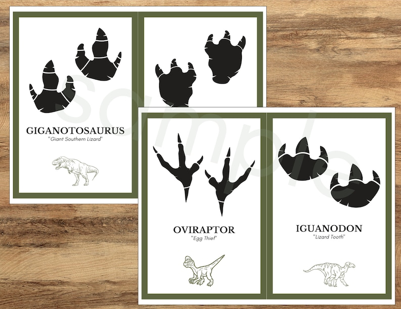 Dinosaur Footprint ID Cards, Dinosaur Activity, Kid Paleontology ...