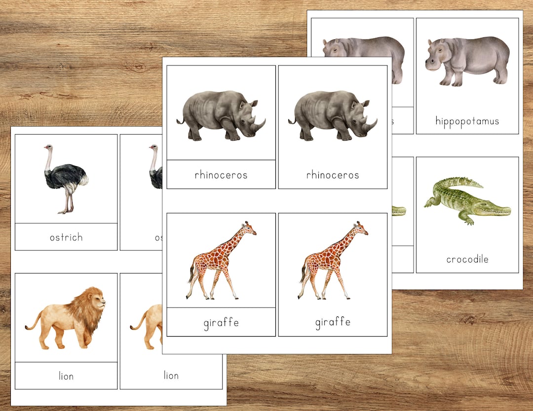 Savanna Wildlife 3-part Cards, Prek Kindergarten Learning, Learning ...