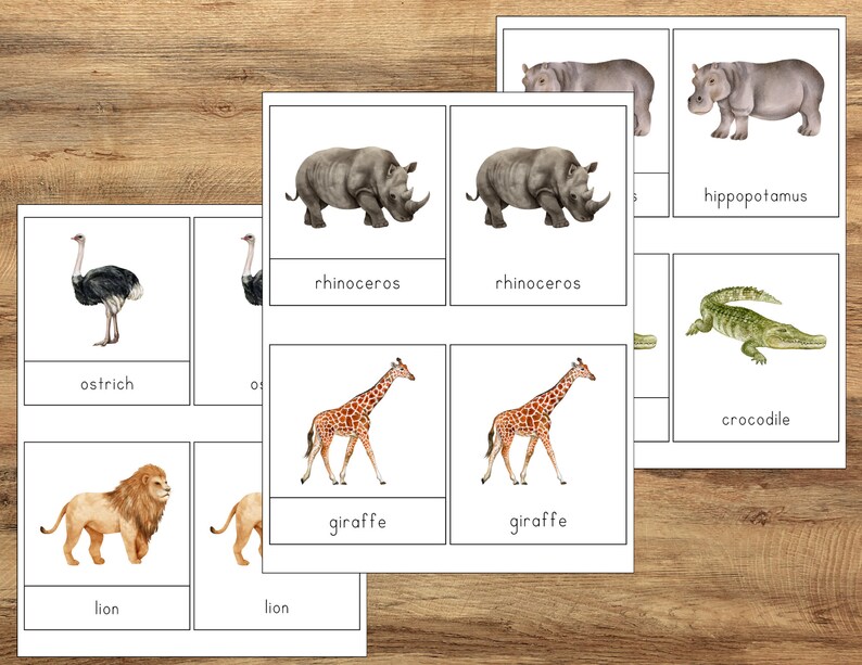 Savanna Wildlife 3-part Cards, Prek Kindergarten Learning, Learning ...