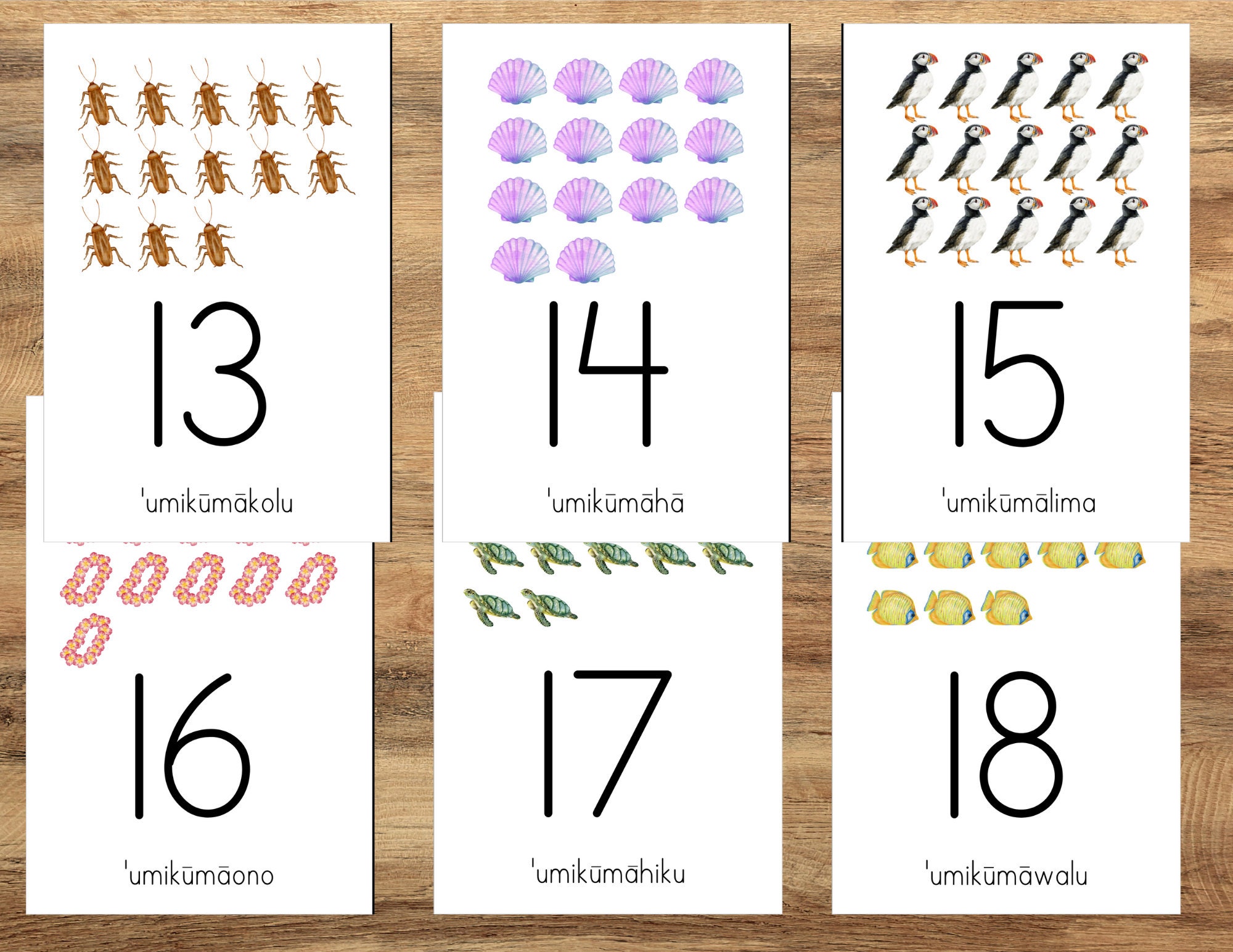 Counting in Hawaiian, Hawaiian Number Flashcards, Learn Hawaiian ...