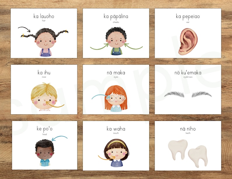 Hawaiian 'anatomy' Flashcards, Hawaiian Language Resources, Learn ...