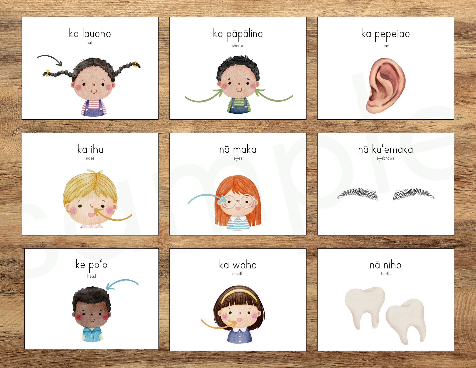 Hawaiian 'anatomy' Flashcards, Hawaiian Language Resources, Learn ...