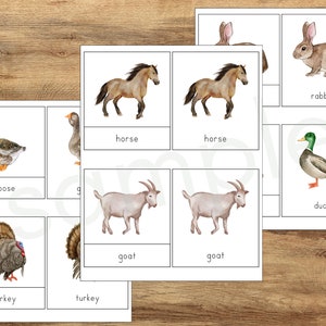 Farm Animal 3-part Cards, Prek Kindergarten Learning, Learning Resource ...