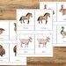 Farm Animal 3-part Cards, Prek Kindergarten Learning, Learning Resource ...