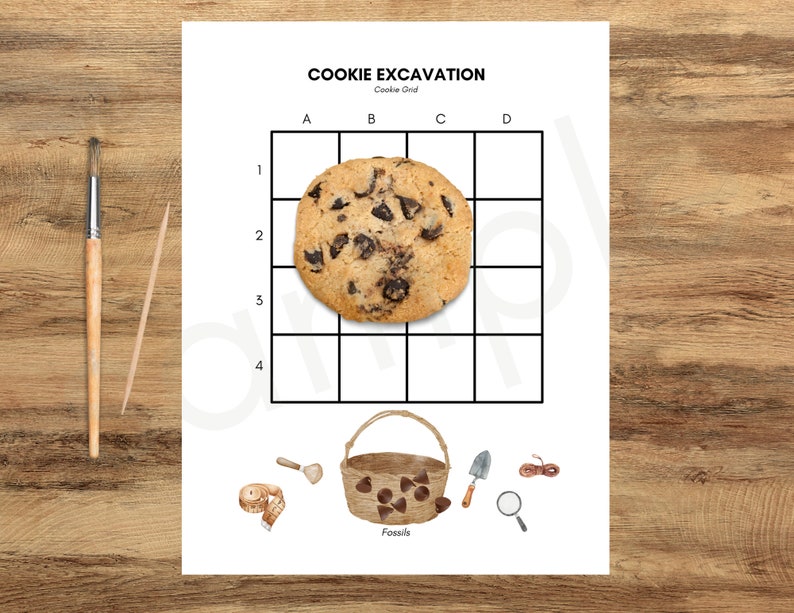 Fossil Excavation Activity, Kids Paleontology, Dinosaur Resources ...