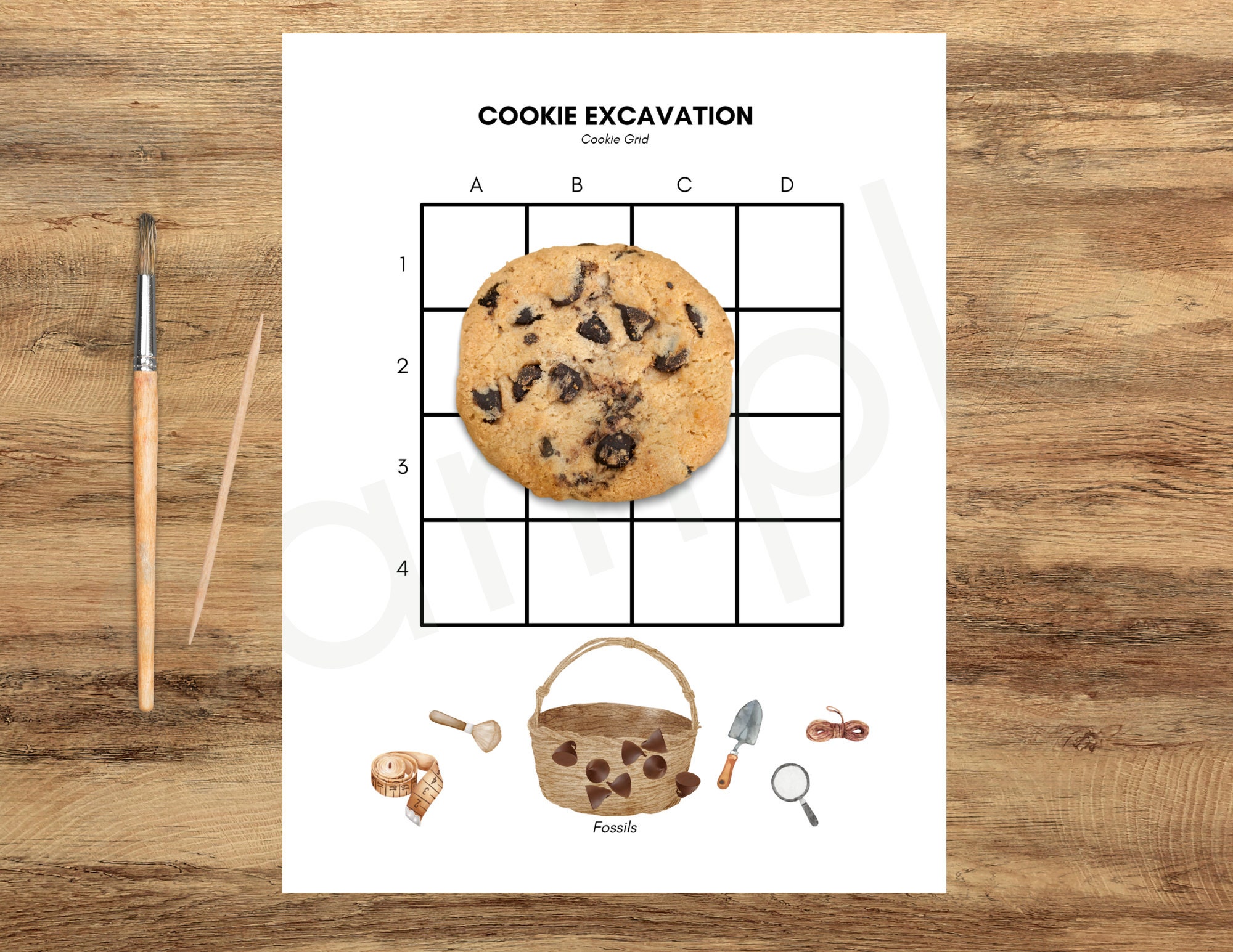 Fossil Excavation Activity, Kids Paleontology, Dinosaur Resources ...