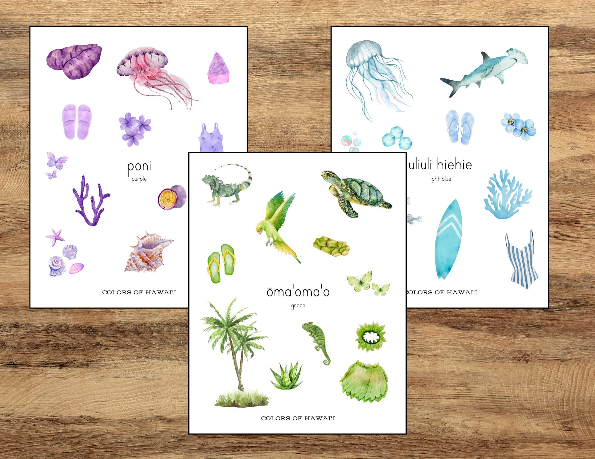 Hawaiian Color Flashcards, Colors of Hawai'i, Learn Hawaiian, Hawaiian ...