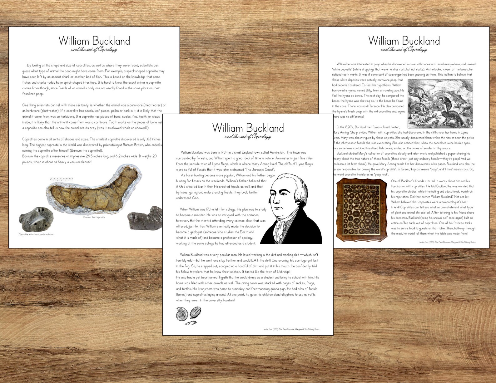 Paleontologist William Buckland and Coprolites, Coprology, Dinosaur ...