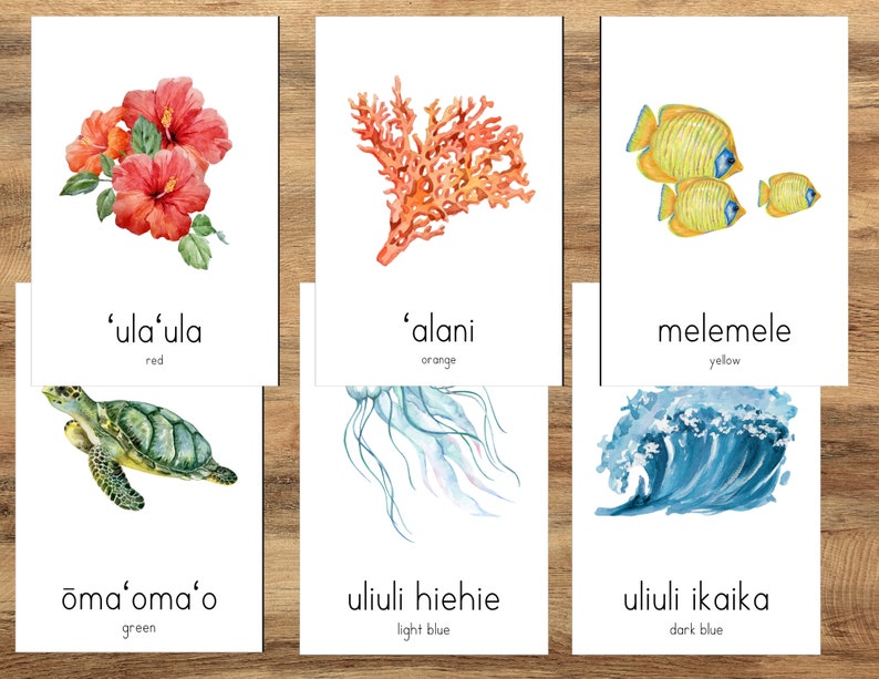 Hawaiian Color Flashcards, Colors of Hawai'i, Learn Hawaiian, Hawaiian ...
