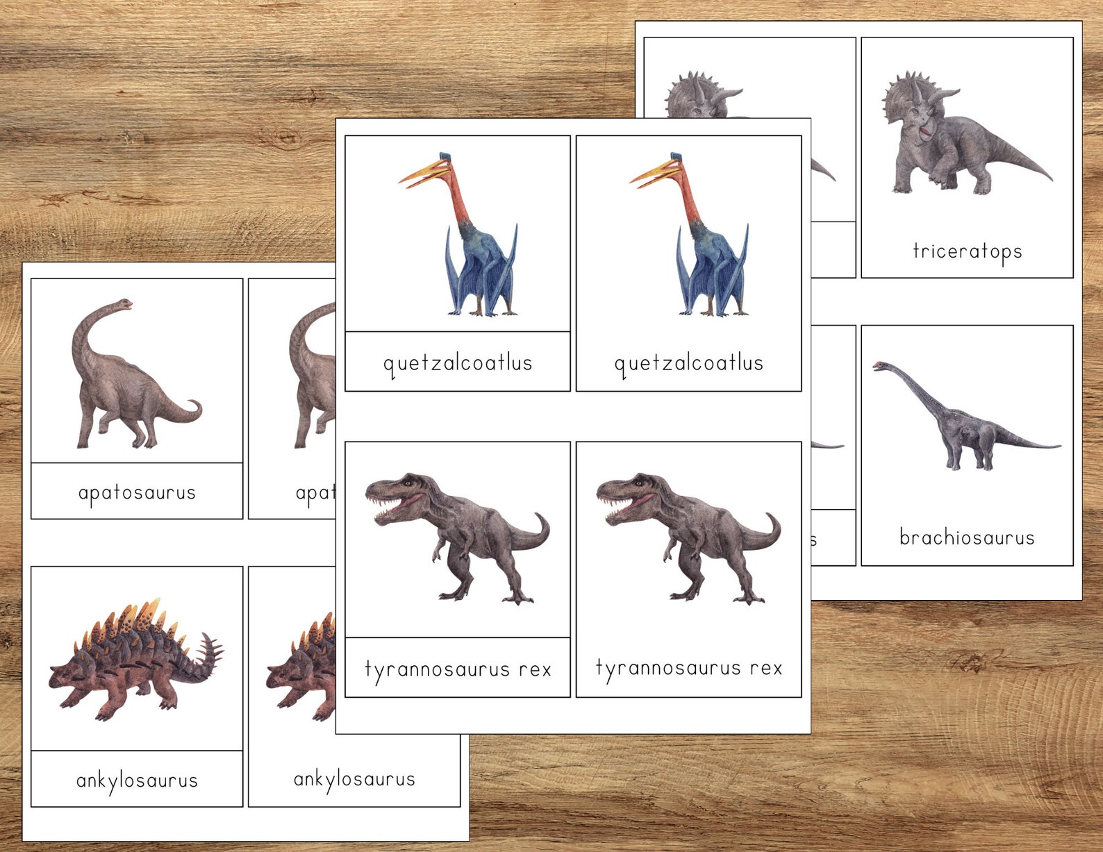 Dinosaur '3-part Cards', Prek Kindergarten Learning, Learning Resource ...