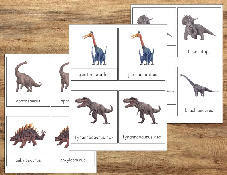 Dinosaur '3-part Cards', Prek Kindergarten Learning, Learning Resource ...