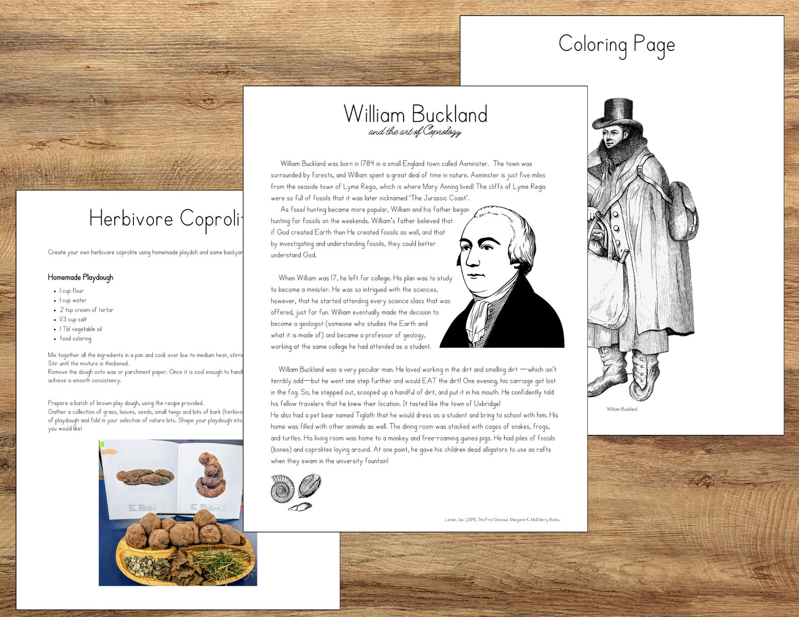 Paleontologist William Buckland and Coprolites, Coprology, Dinosaur ...