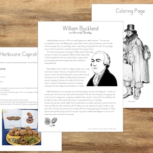 Paleontologist William Buckland and Coprolites, Coprology, Dinosaur ...