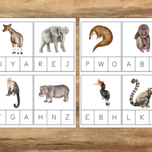 Jungle Wildlife Letter Clip Cards, Prek Kindergarten Learning Resources ...